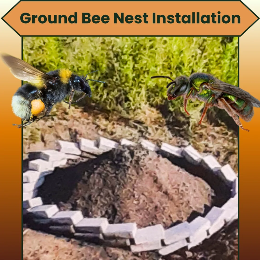 Ground Bee Nest Installation – Heartland Forest
